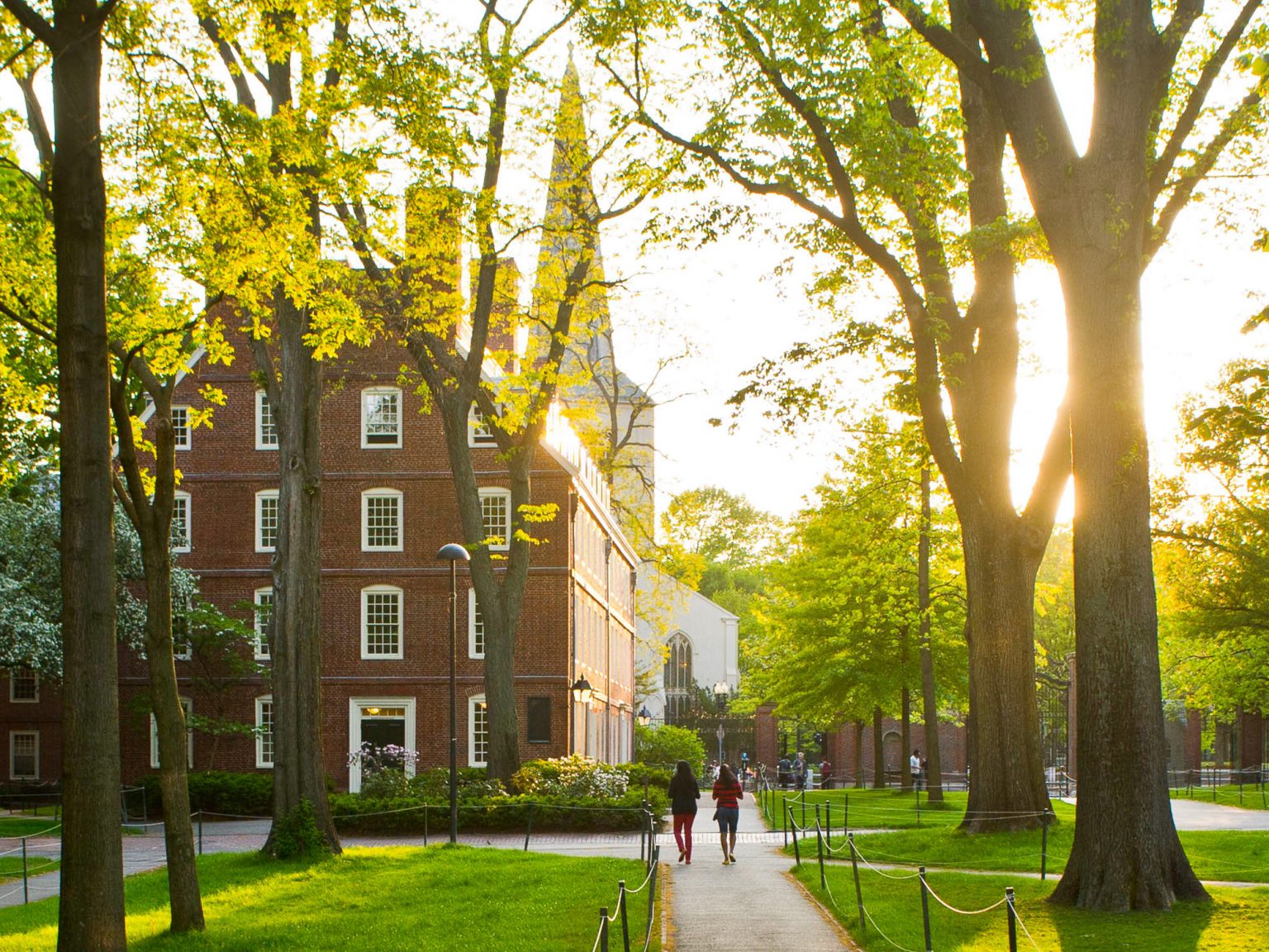 Exclusively For Your Organization - Professional Development | Harvard DCE