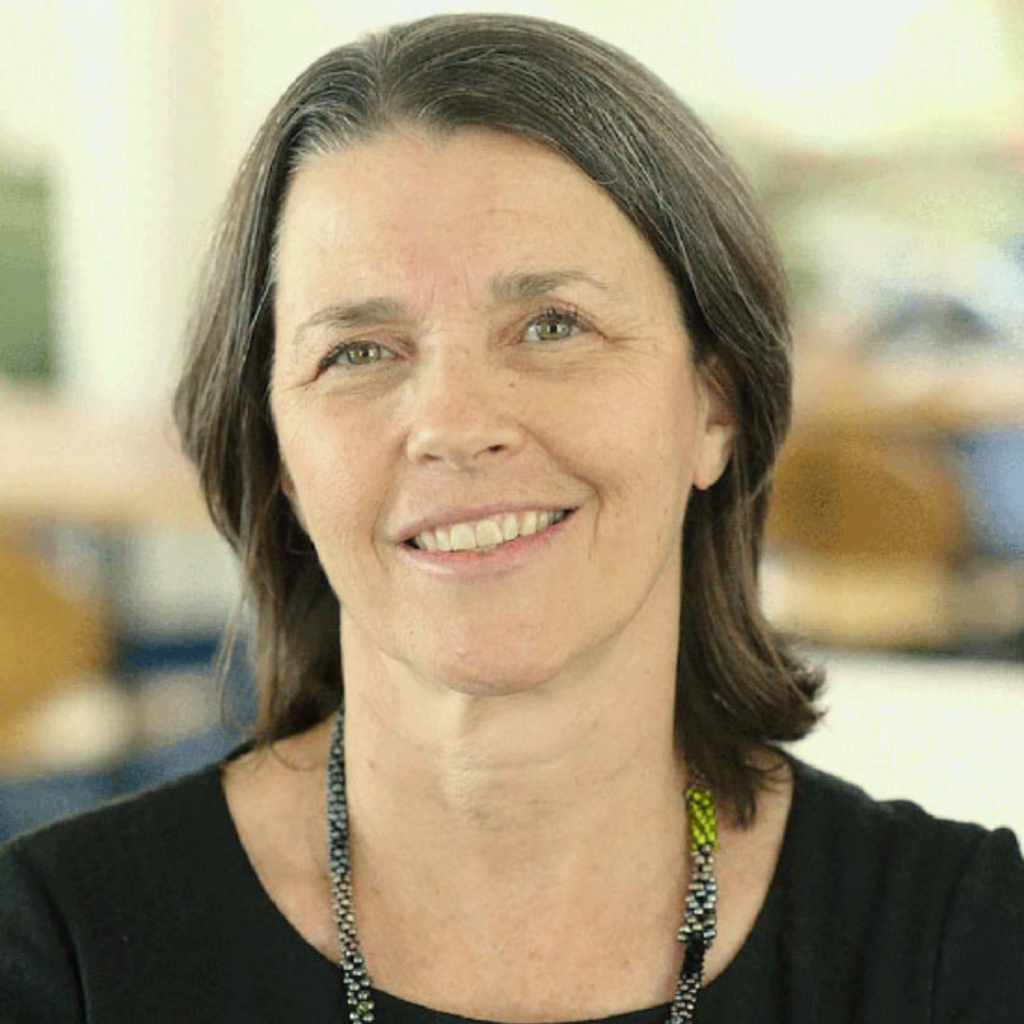 Mary Shapiro - Professional & Executive Development | Harvard DCE
